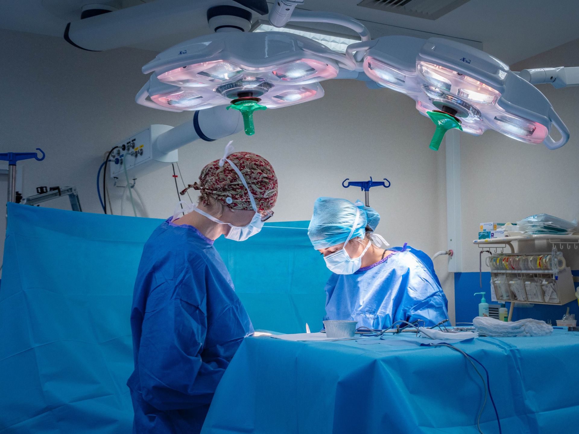 Maxillo-faciale et Stomatologie - Centre Hospitalier Simone Veil de ...